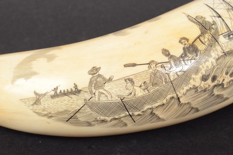 19th Century Antique Scrimshaw of an Engraved Whale Tooth Ancient ...