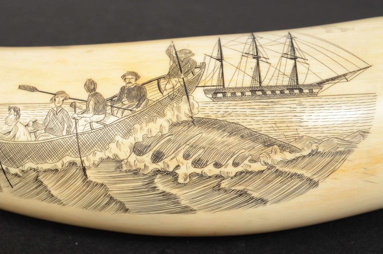 19th Century Antique Scrimshaw of an Engraved Whale Tooth Ancient ...