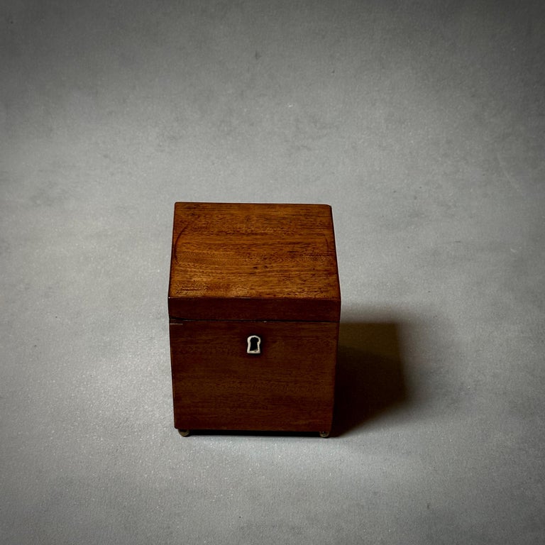 19th Century Belgian Tea Caddy Box For Sale at 1stDibs