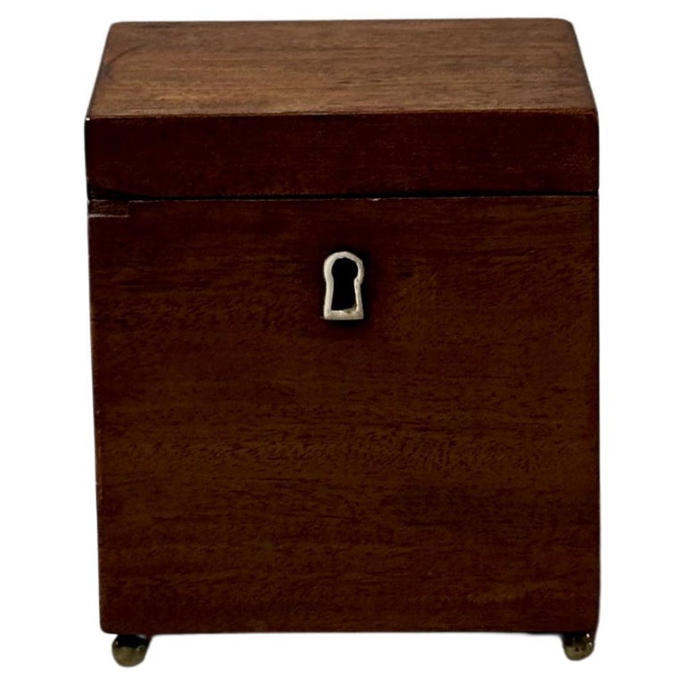 19th Century Belgian Tea Caddy Box For Sale at 1stDibs