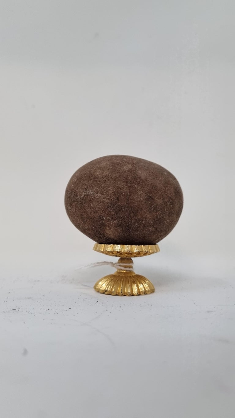 19th Century Bezoar For Sale at 1stDibs