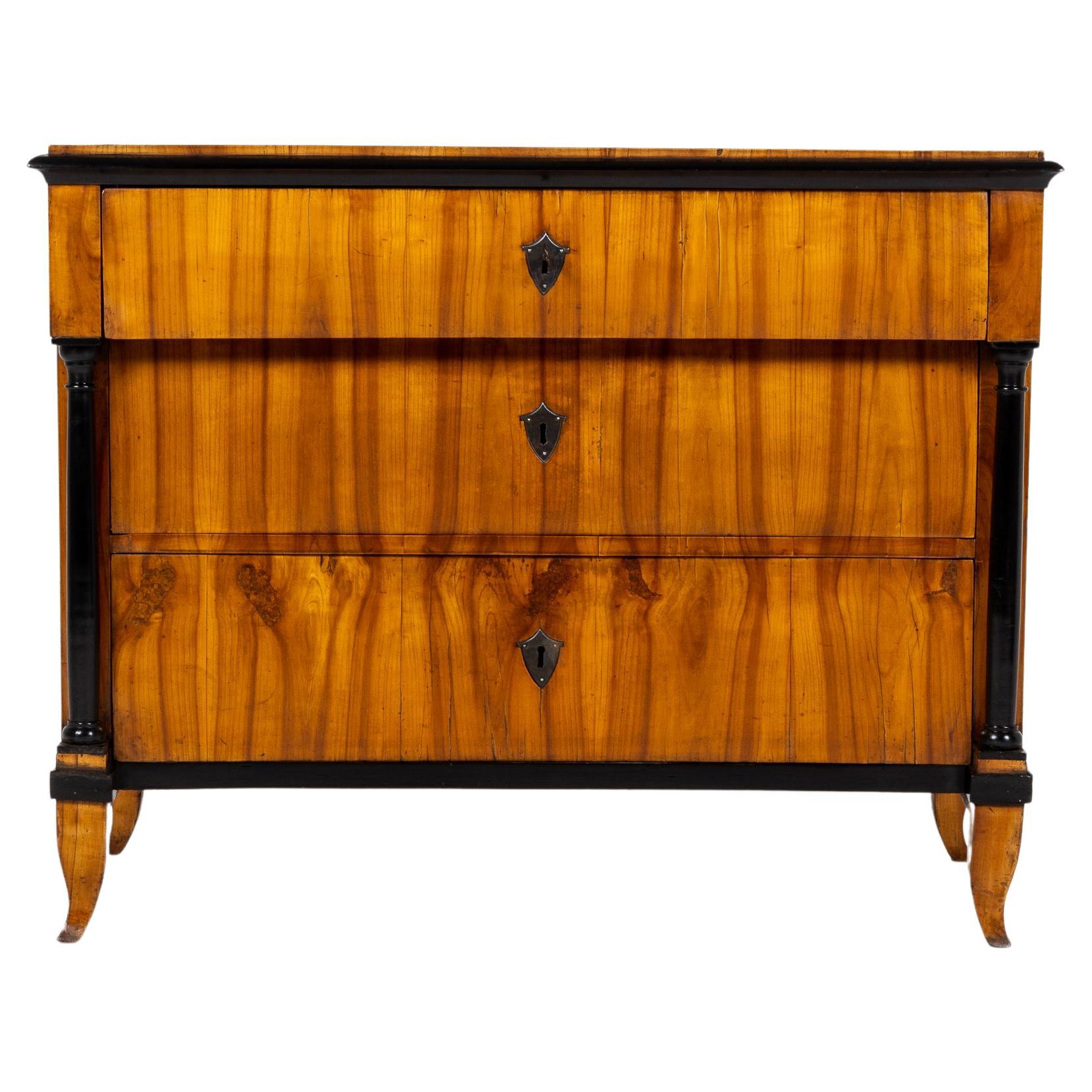 19th Century German Biedermeier Tall Cherrywood Chest of Drawers For ...