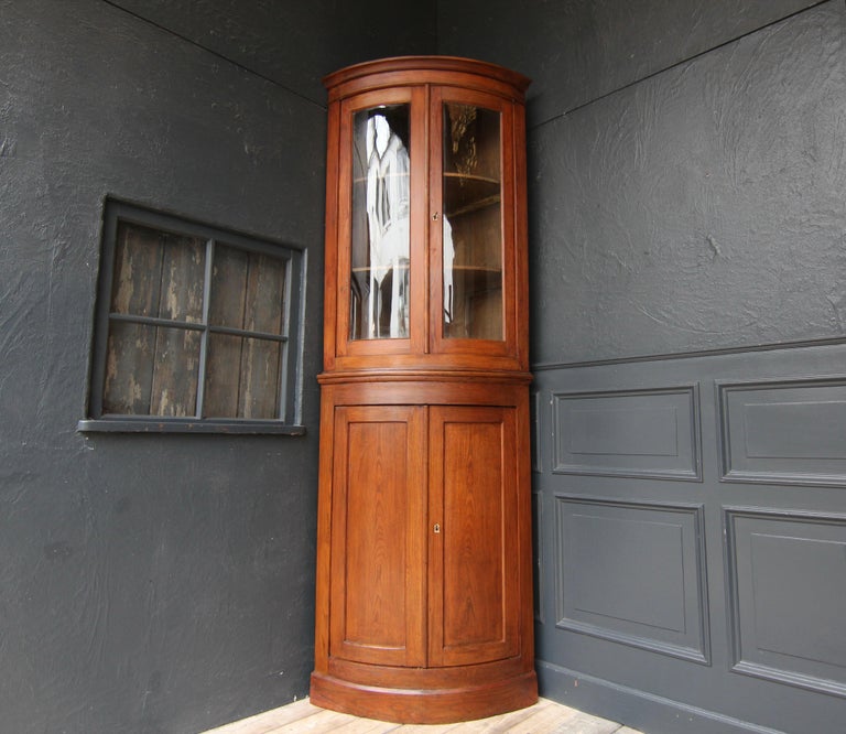 19th Century Biedermeier Corner Vitrine Cabinet For Sale at 1stDibs