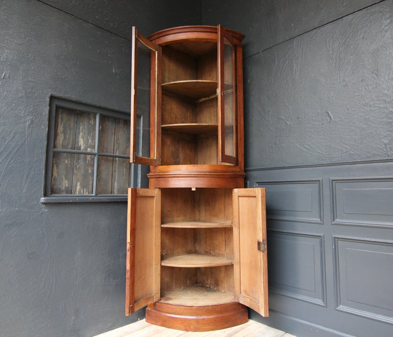 19th Century Biedermeier Corner Vitrine Cabinet For Sale at 1stDibs