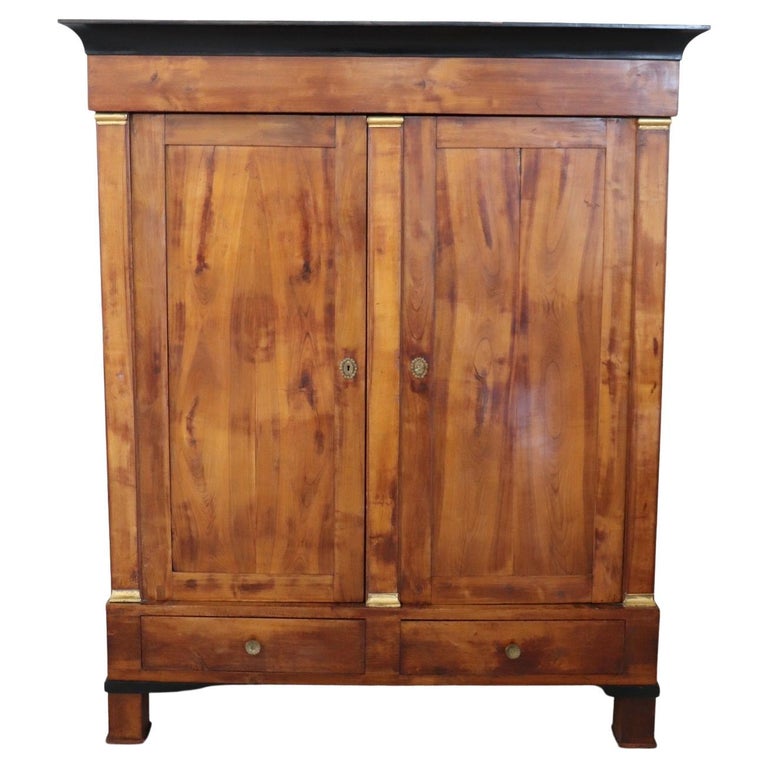 19th Century Biedermeier Solid Walnut Antique Wardrobe or Armoire For ...