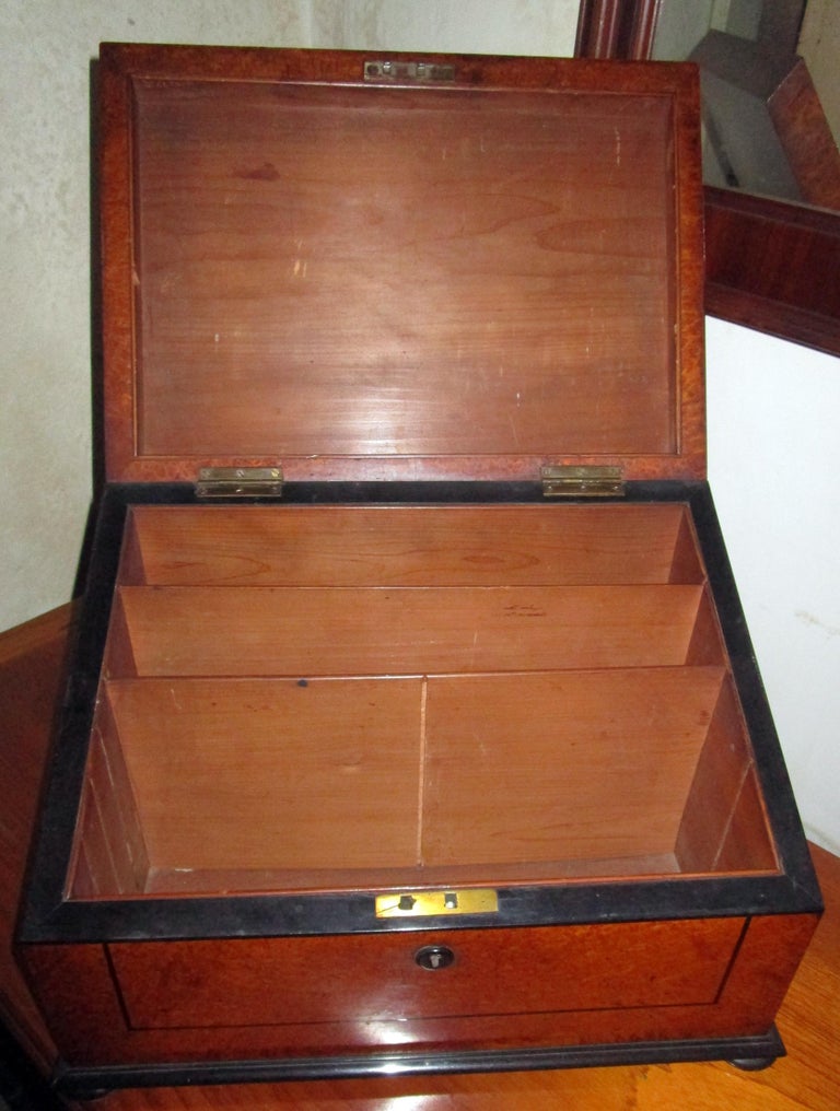 19th century Biedermeier Walnut Root Slant Top Letter Box Inlaid Bird ...