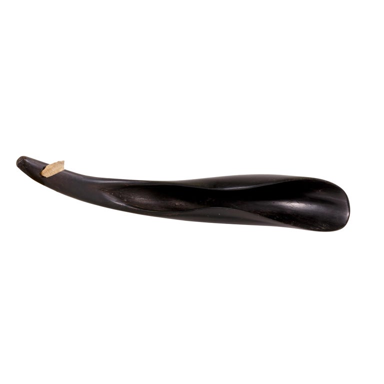 19th Century Blackfeet Buffalo Horn Spoon For Sale at 1stDibs
