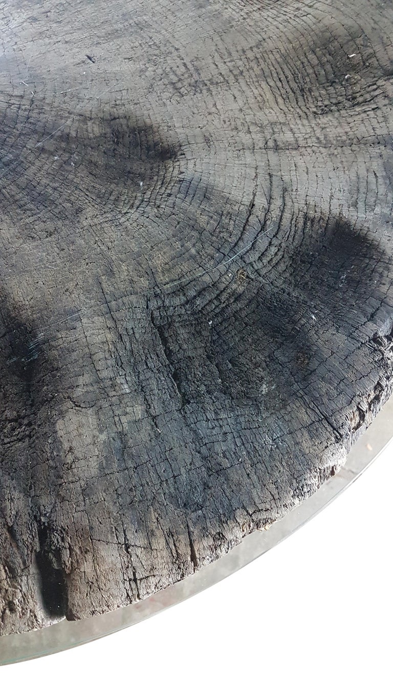 19th Century Blacksmiths Dishing Stump in Sycamore For Sale at 1stDibs