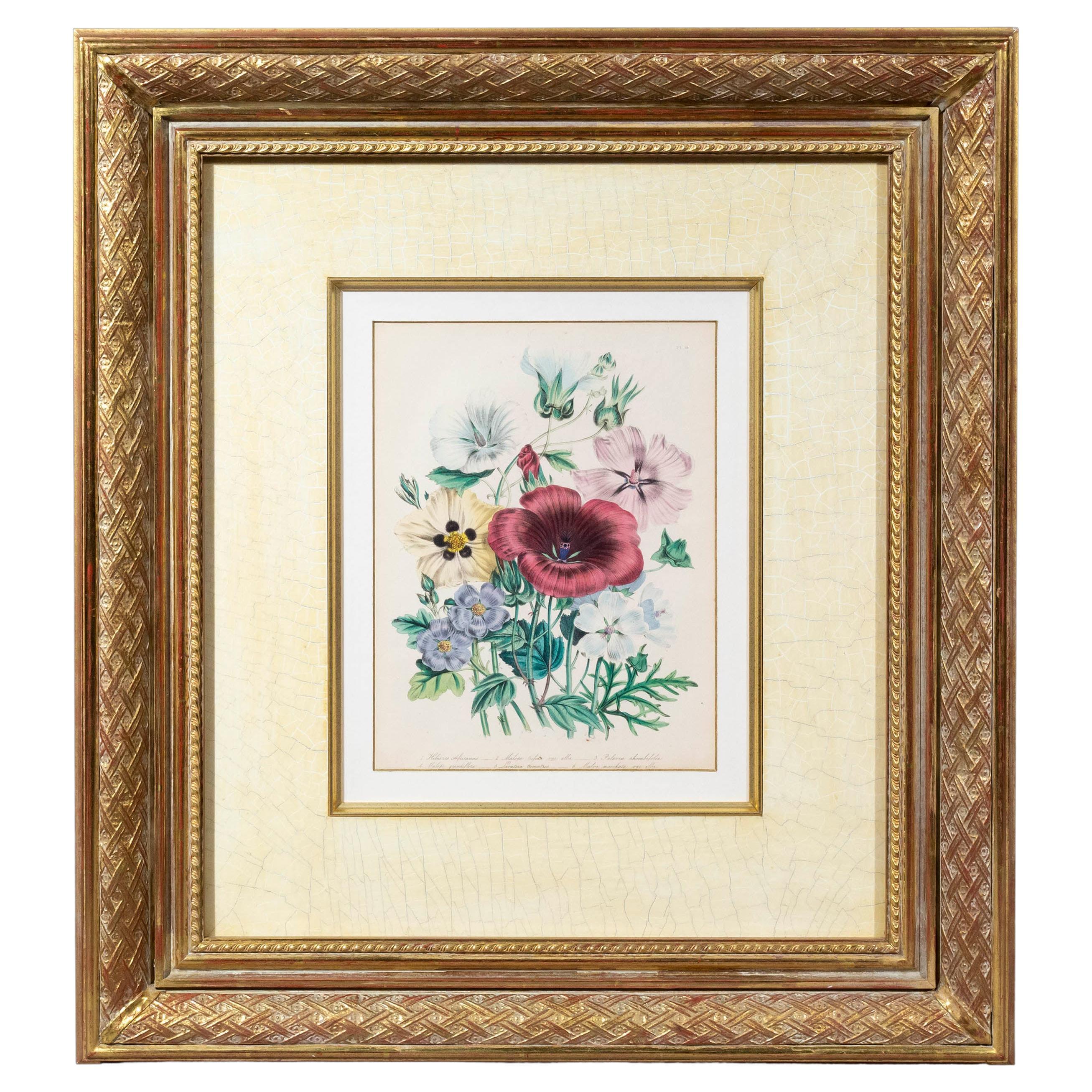 19th Century Botanical Engraving After Jane Webb Loudon For Sale at 1stDibs