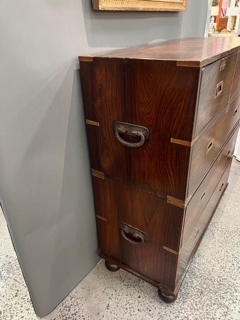 19th Century British Colonial Rosewood Campaign Chest For Sale at 1stDibs