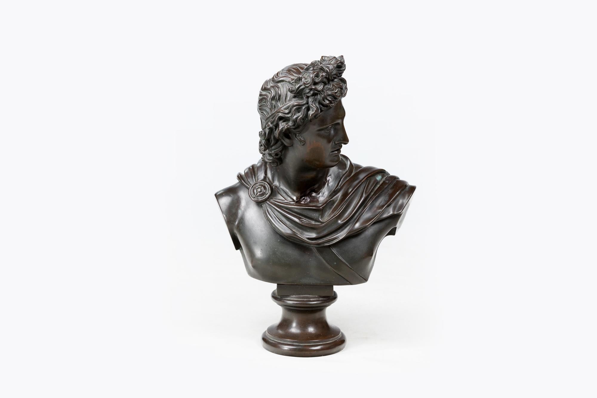 19th Century Bronze Bust of Apollo Belvedere For Sale at 1stDibs