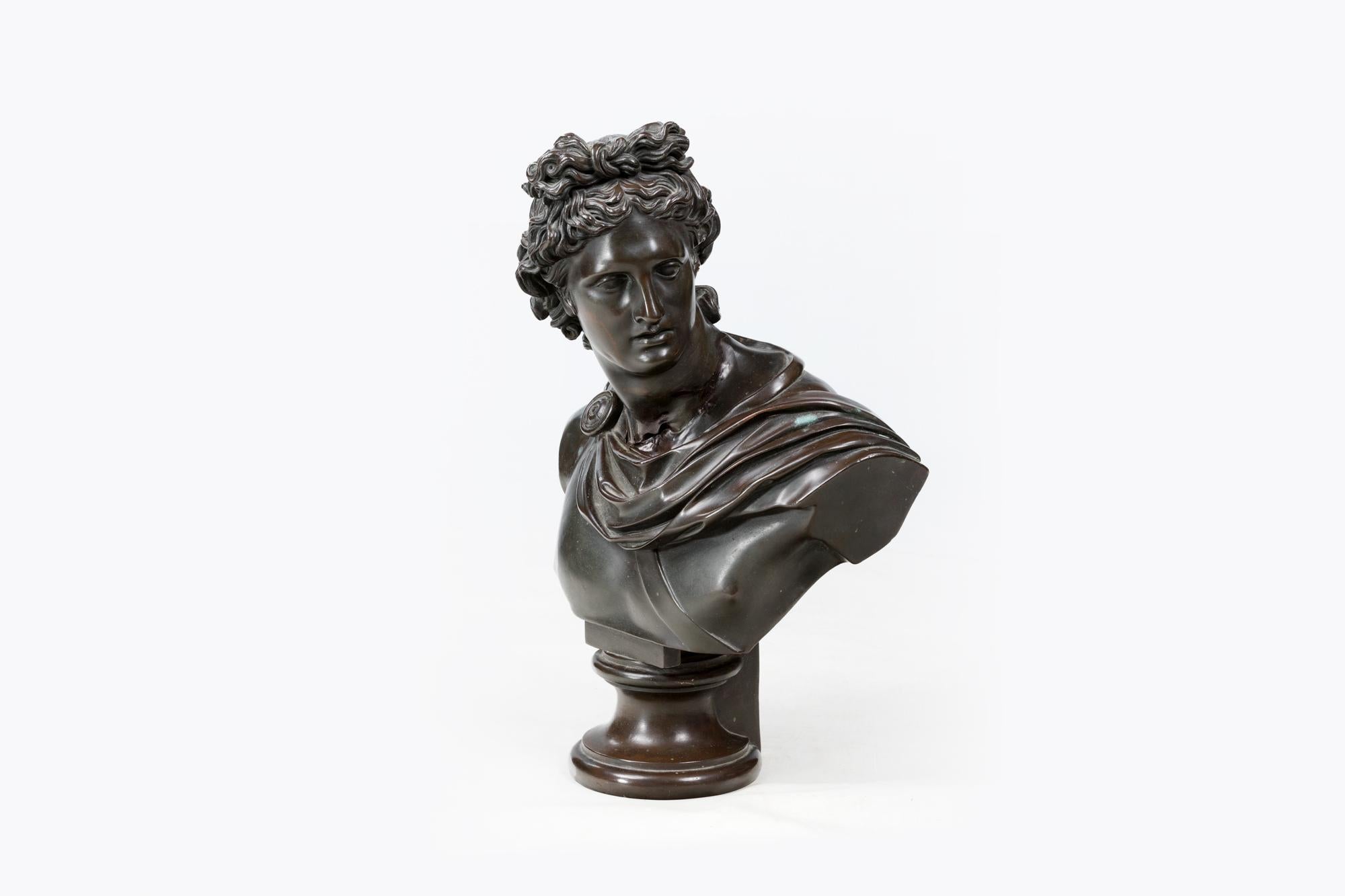 19th Century Bronze Bust of Apollo Belvedere For Sale at 1stDibs