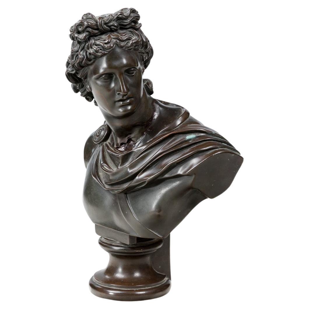 19th Century Bronze Bust of Apollo Belvedere For Sale at 1stDibs
