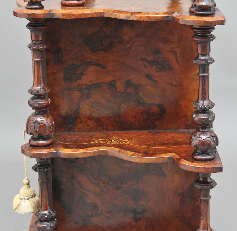 19th Century Burr Walnut Whatnot Cabinet at 1stDibs