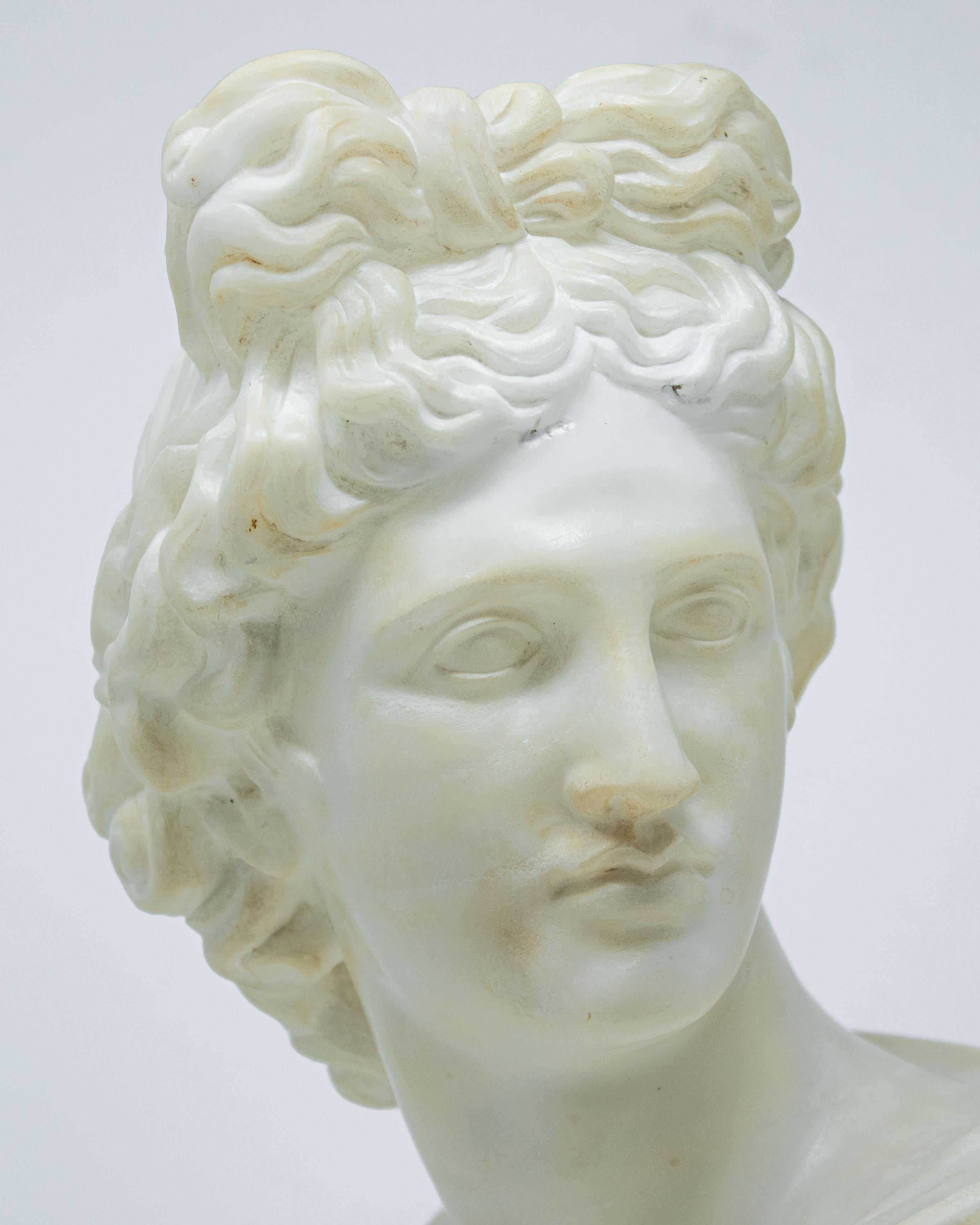 19th Century Bust Apollo of the Belvedere Sculpture Marble at 1stDibs