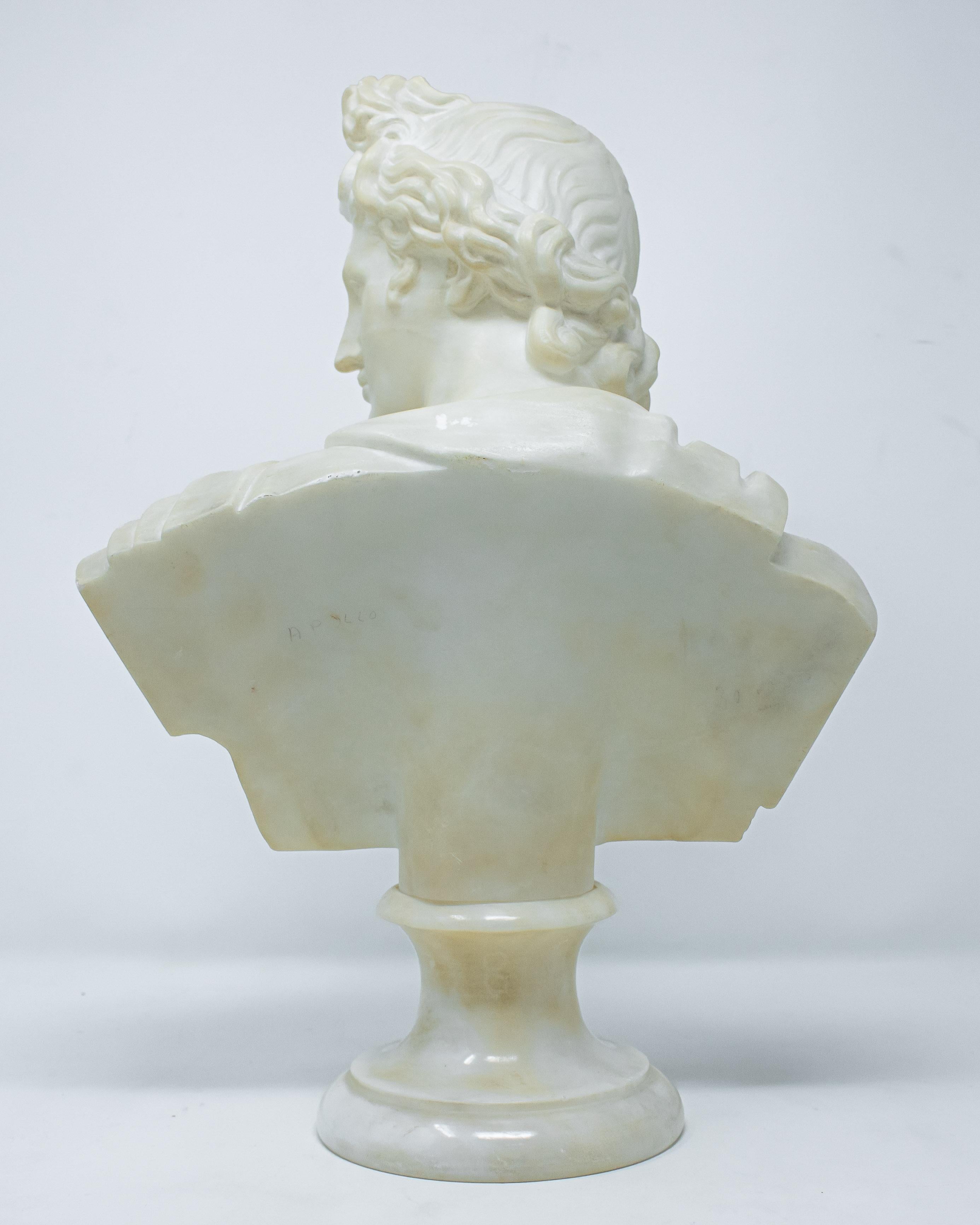 19th Century Bust Apollo of the Belvedere Sculpture Marble at 1stDibs