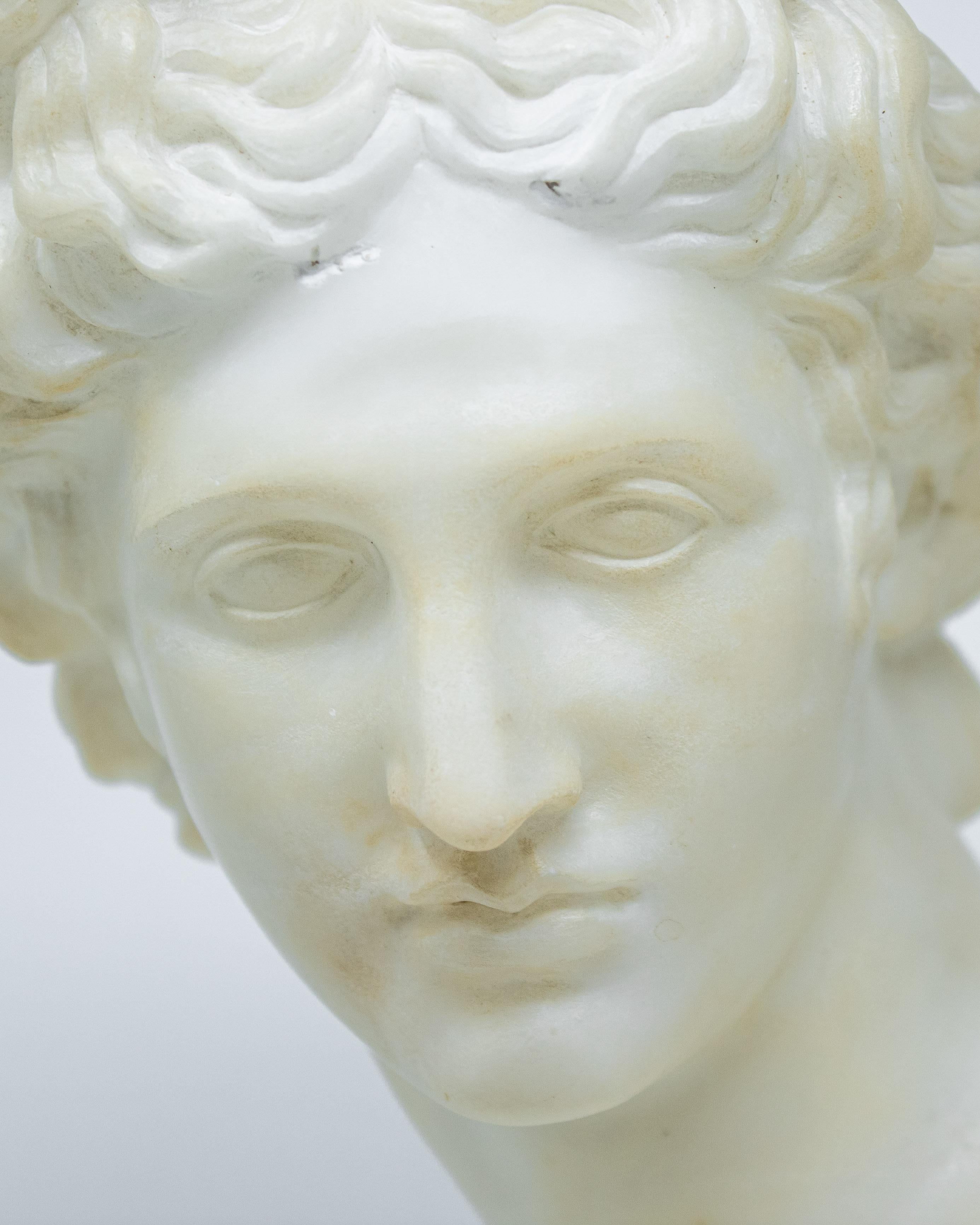 19th Century Bust Apollo of the Belvedere Sculpture Marble at 1stDibs