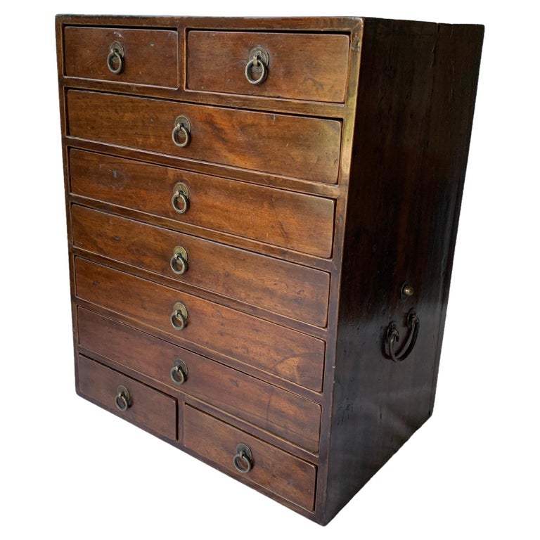 Camphor Wood Lacquered Chinese Scholar Cabinet / Document Box, 'Qing ...