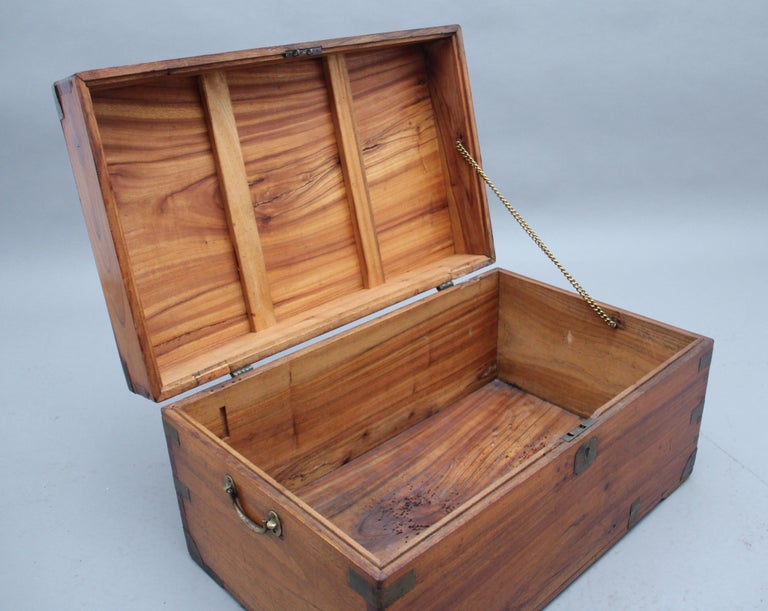 19th Century Camphor Wood Trunk For Sale at 1stDibs