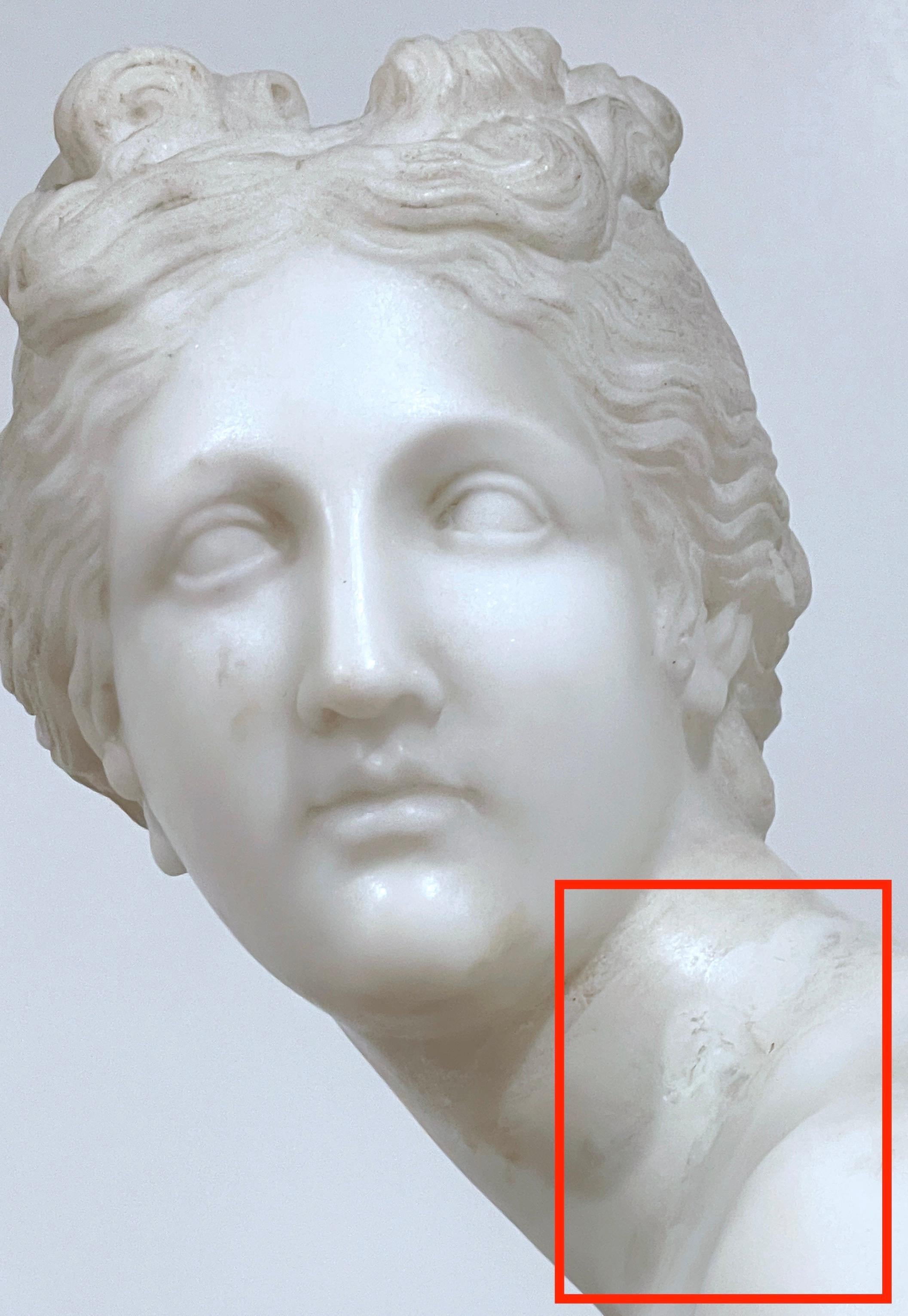 19th Century Carrera Marble Garden Sculpture, 'Venus Italica', After ...