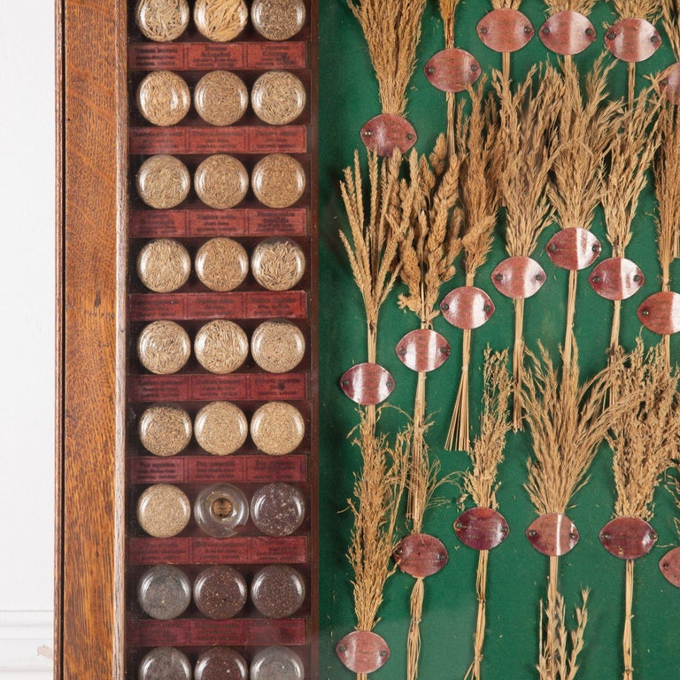 19th Century Carter Tested Seed Wall Display For Sale at 1stDibs