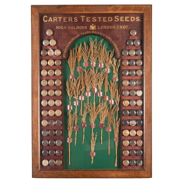 19th Century Carter Tested Seed Wall Display For Sale at 1stDibs