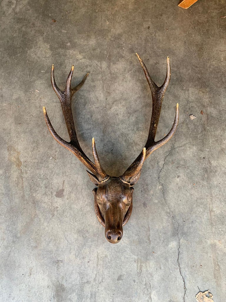 19th Century Carved Wall-Mount Stag Head at 1stDibs | carved stag head