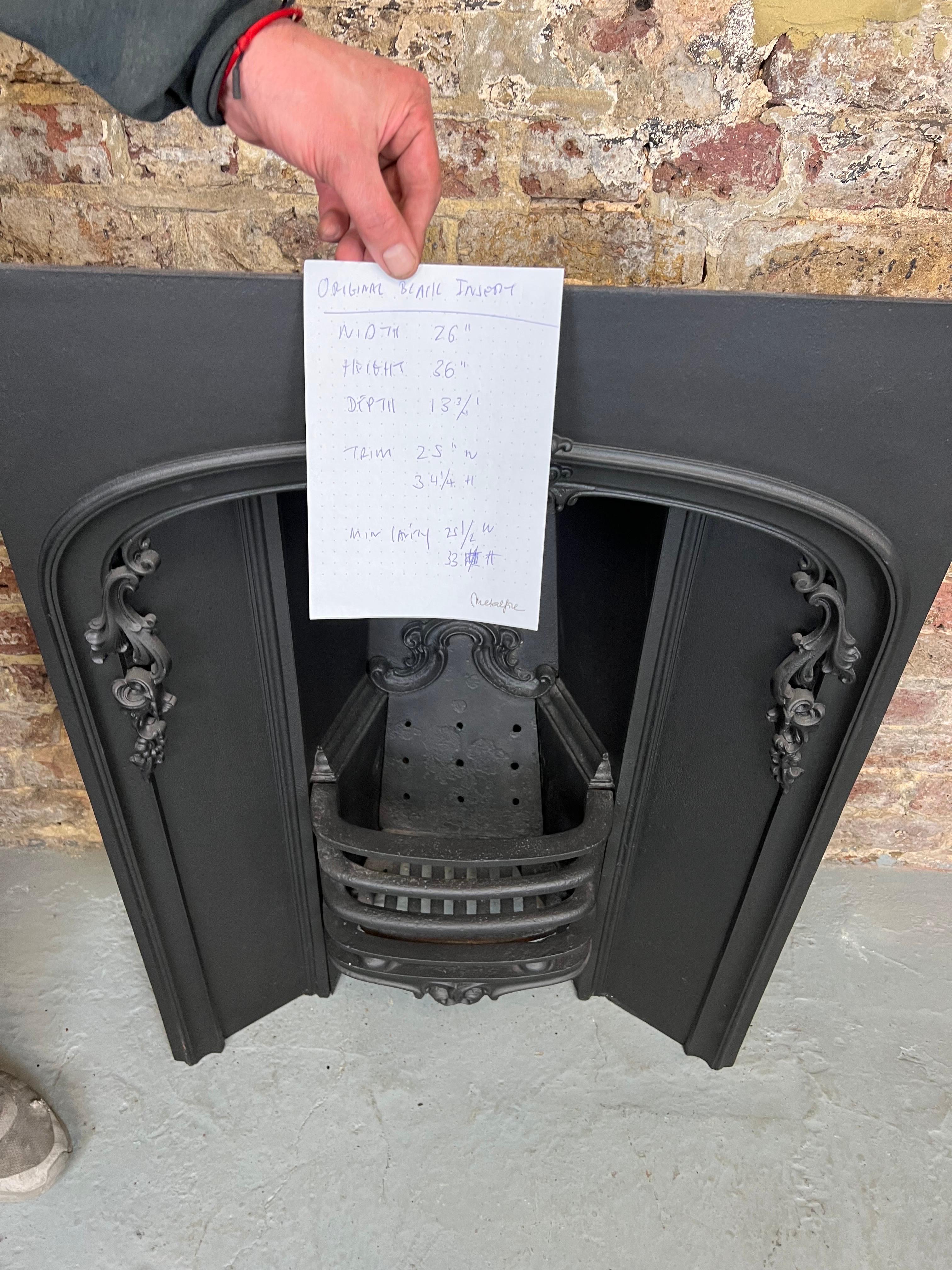 19th Century Cast Iron Fireplace Insert For Sale at 1stDibs