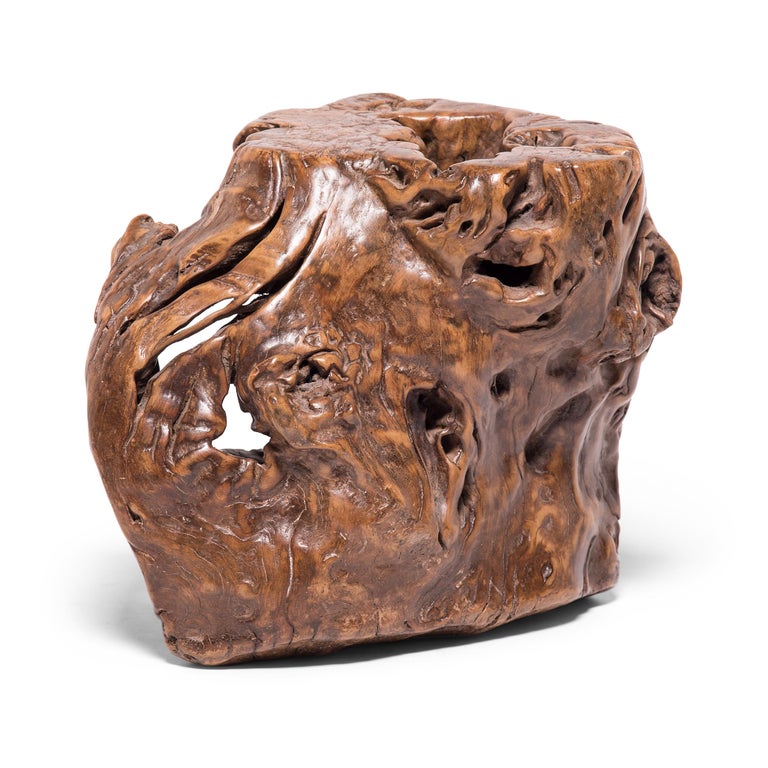 Chinese Root Shrine, c. 1850 For Sale at 1stDibs | the root shrine