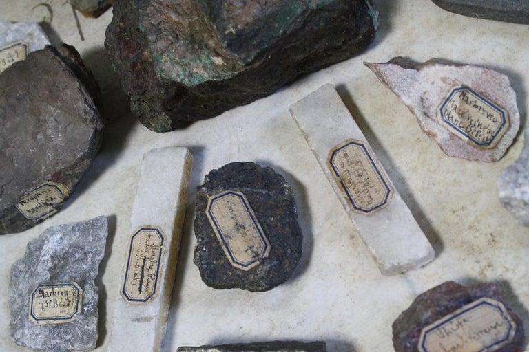 19th Century Collection of Metamorphic Sedimentary Mineral Geological ...