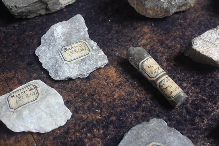 19th Century Collection of Metamorphic Sedimentary Mineral Geological ...