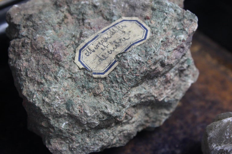 19th Century Collection of Metamorphic Sedimentary Mineral Geological ...