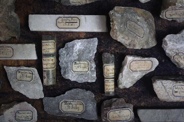 19th Century Collection of Metamorphic Sedimentary Mineral Geological ...