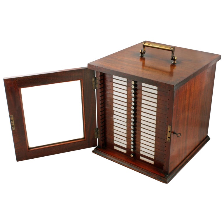 19th Century Collector's Cabinet For Sale at 1stDibs