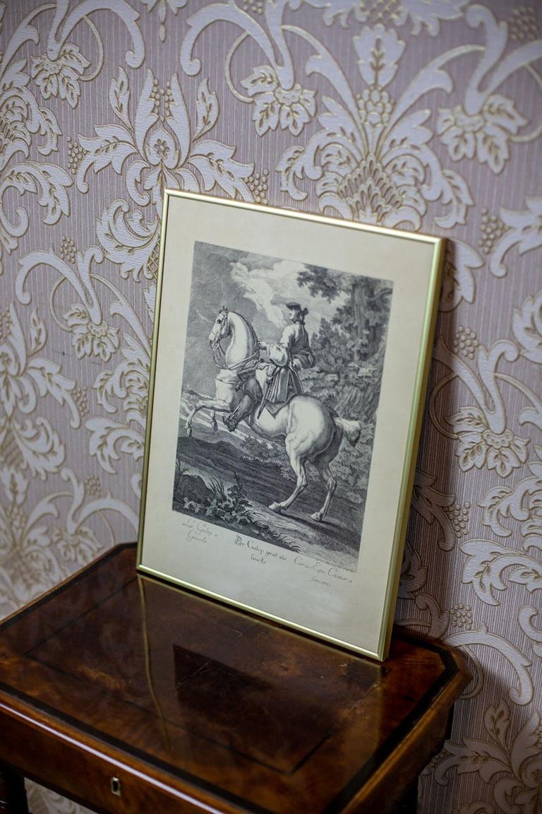 19th Century Copperplate Engraving by J.E. Ridinger For Sale at 1stDibs ...