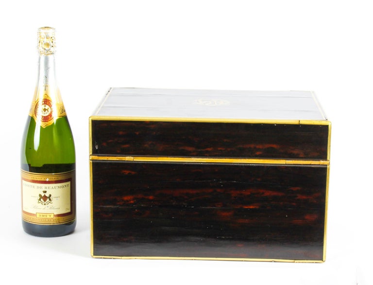19th Century Coromandel and Brass Banded Jewellery Box Coton Hall at ...