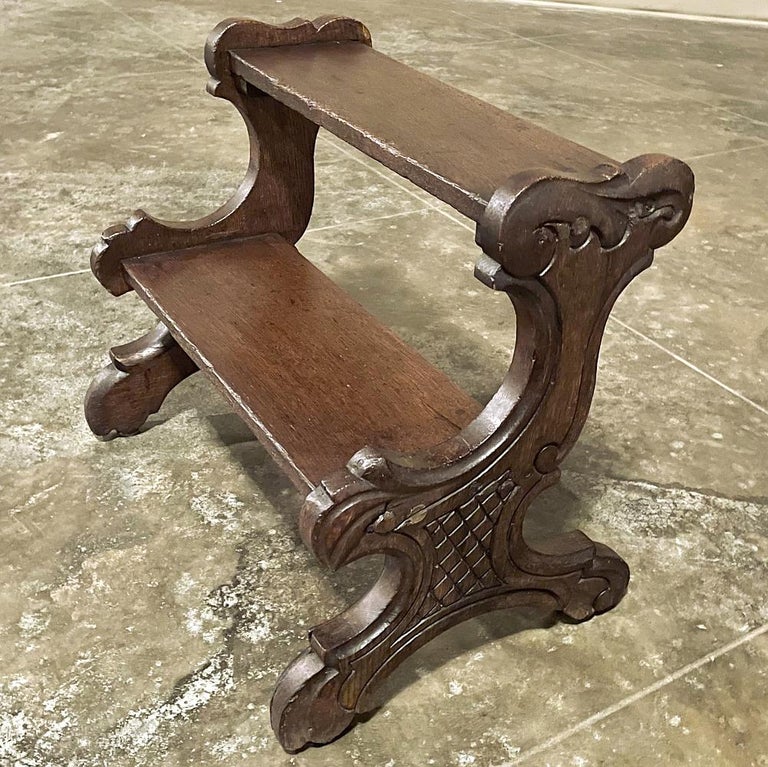 19th Century Country French Library Ladder ~ Step Stool For Sale at 1stDibs