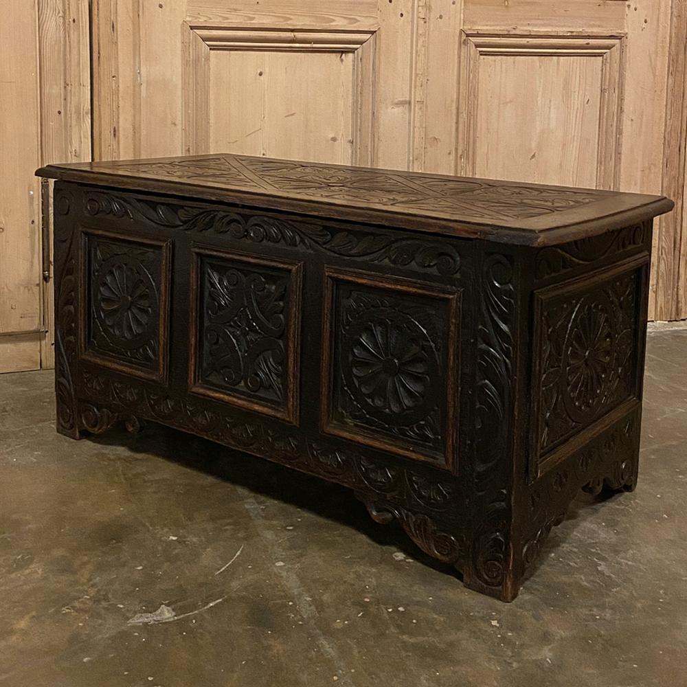19th Century Country French Trunk from Brittany For Sale at 1stDibs
