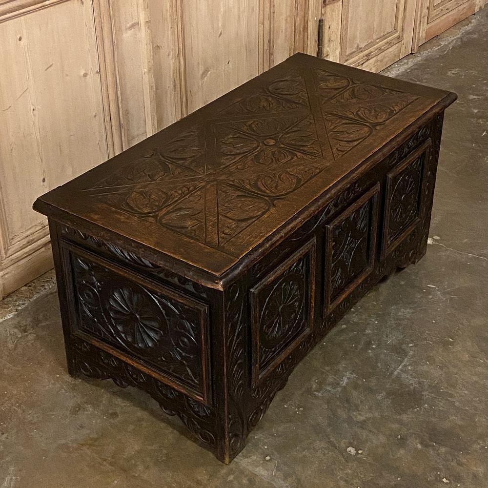 19th Century Country French Trunk from Brittany For Sale at 1stDibs