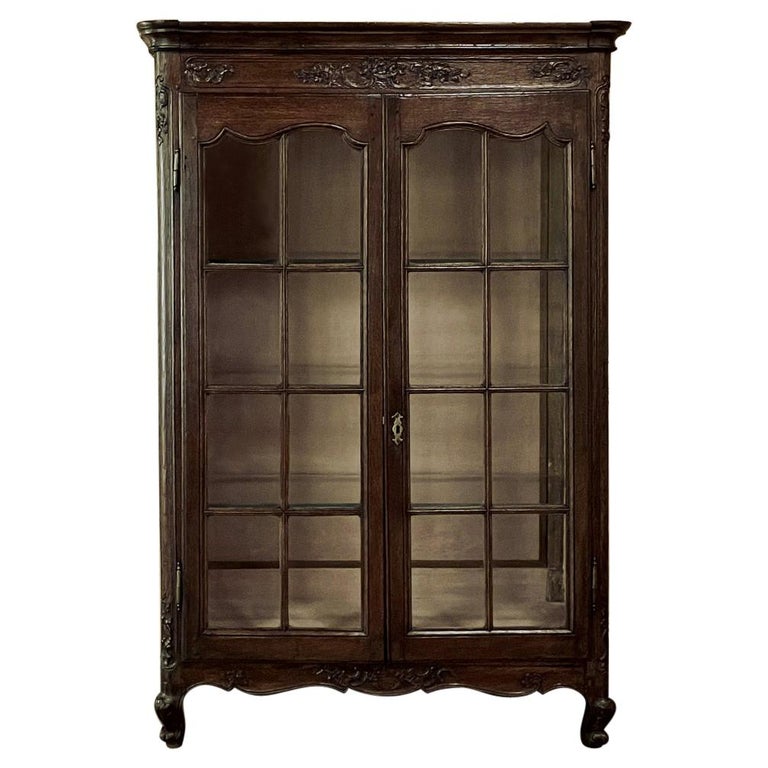 19th Century Country French Vitrine, Bookcase at 1stDibs