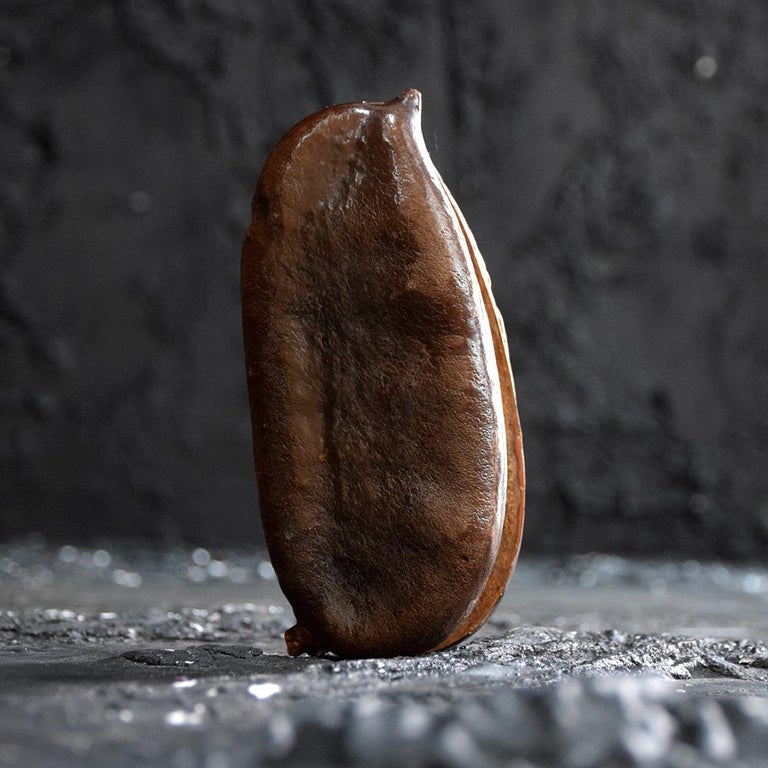 19th Century Curio Unusual Seed Pill Box at 1stDibs