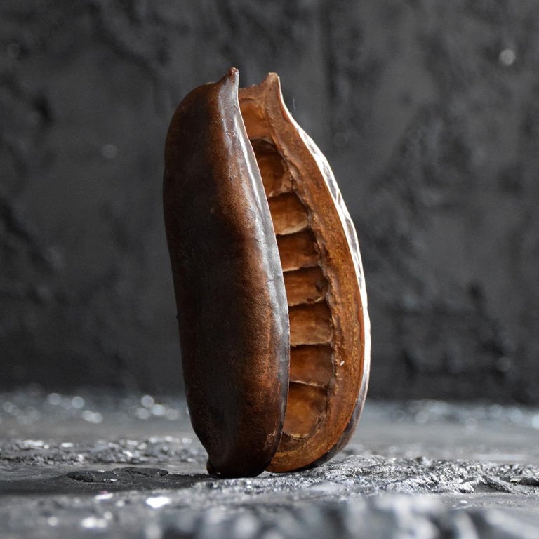 19th Century Curio Unusual Seed Pill Box For Sale at 1stDibs