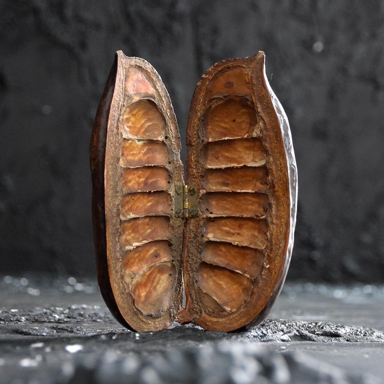 19th Century Curio Unusual Seed Pill Box For Sale at 1stDibs