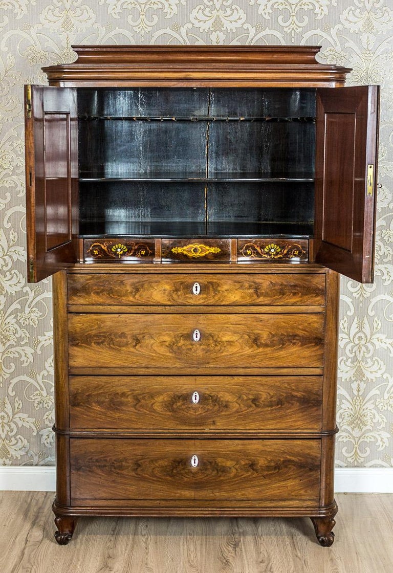 19th Century Danish Walnut Cabinet For Sale at 1stdibs