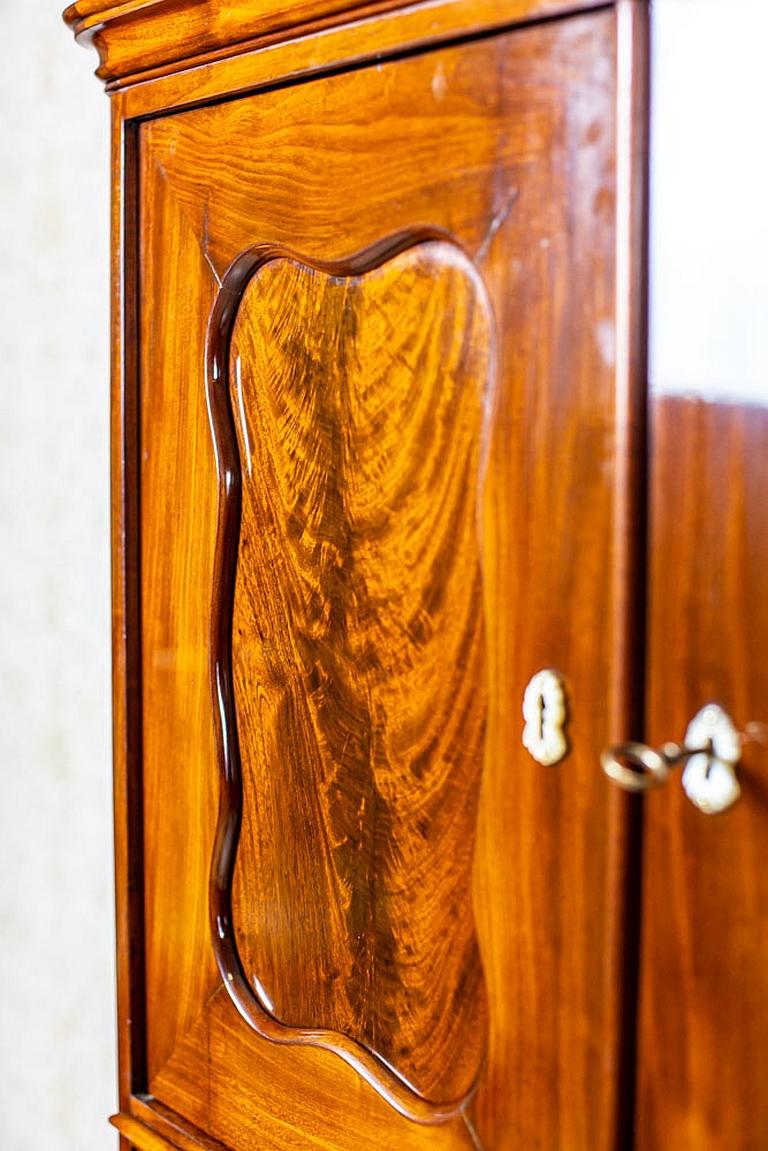 19th Century Danish Walnut Cabinet For Sale at 1stDibs