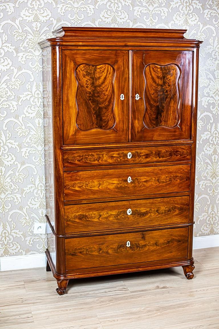 19th Century Danish Walnut Cabinet For Sale at 1stDibs