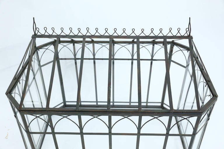 19th Century Decorative Conservatory For Sale at 1stDibs