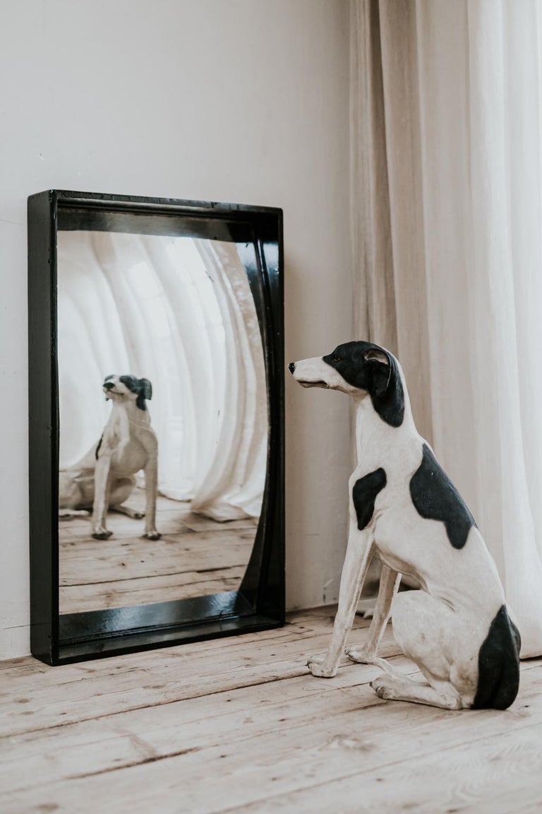 19th Century Distortion Mirror For Sale at 1stDibs