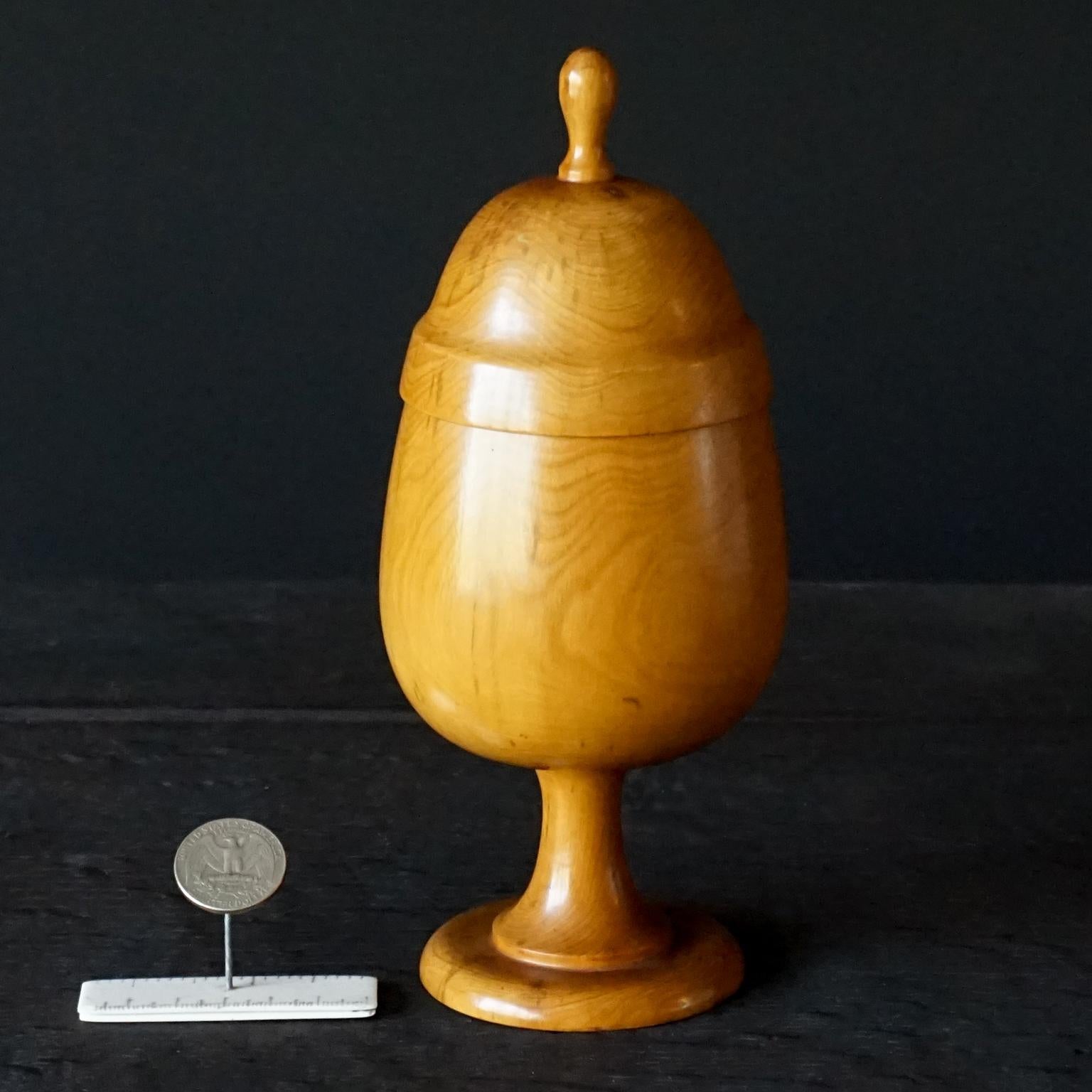 19th Century Dutch Medical Apothecary Pharmacy Turned Boxwood Treen ...