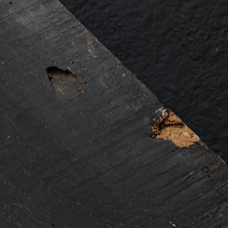 19th Century Dutch Polychrome Painted Wooden Funerary Hatchment or ...